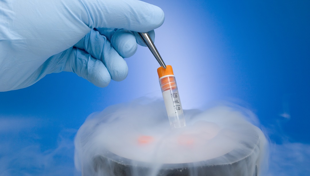Who Gets The Frozen Embryos In The Divorce 