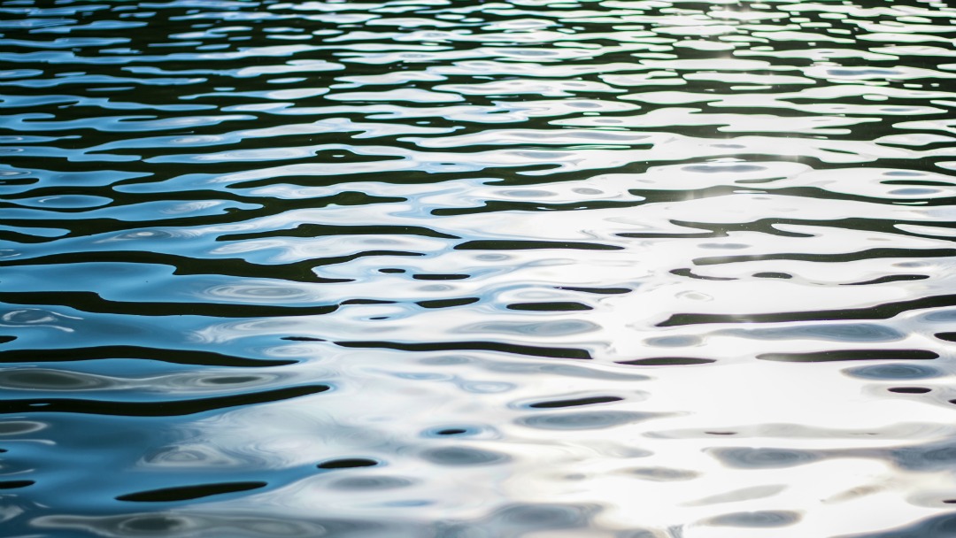 What it means to move back home when you’re Métis | TVO.org