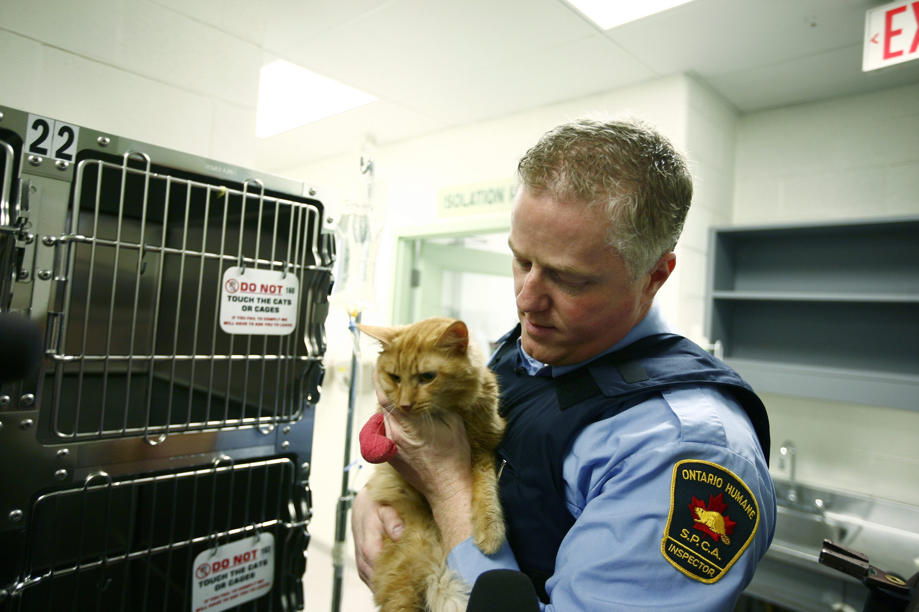 TVO.org daily: Monday, November 18 | TVO.org