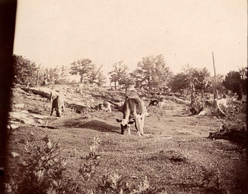 The long history of Muskoka cottagers’ dependence on year-round ...