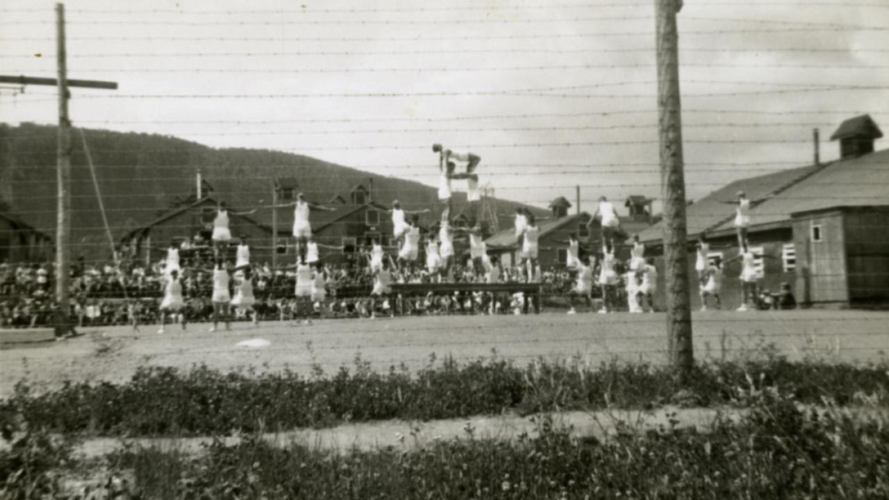 Daring escapes and Canadian hospitality: Inside Ontario’s WWII prisoner ...