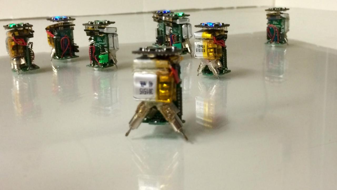 Why tiny robots are a big deal for one Ontario student | TVO.org