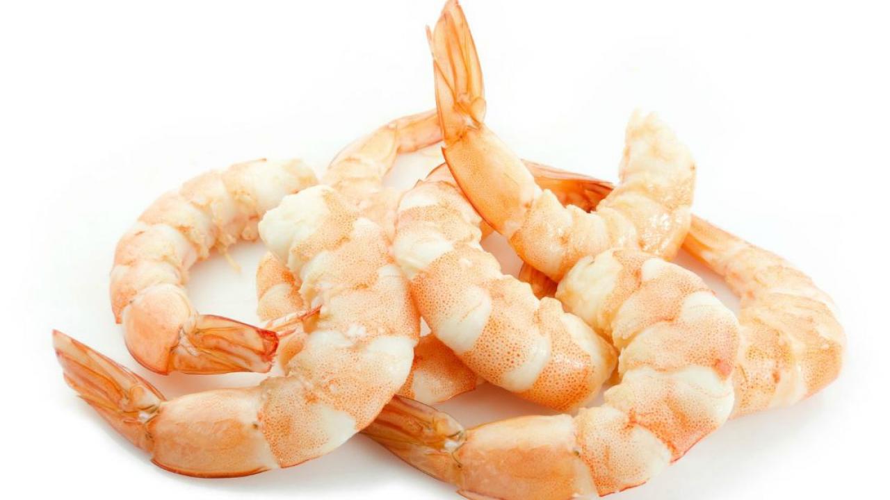 How local shrimp is making a splash in Ontario’s seafood market | TVO.org