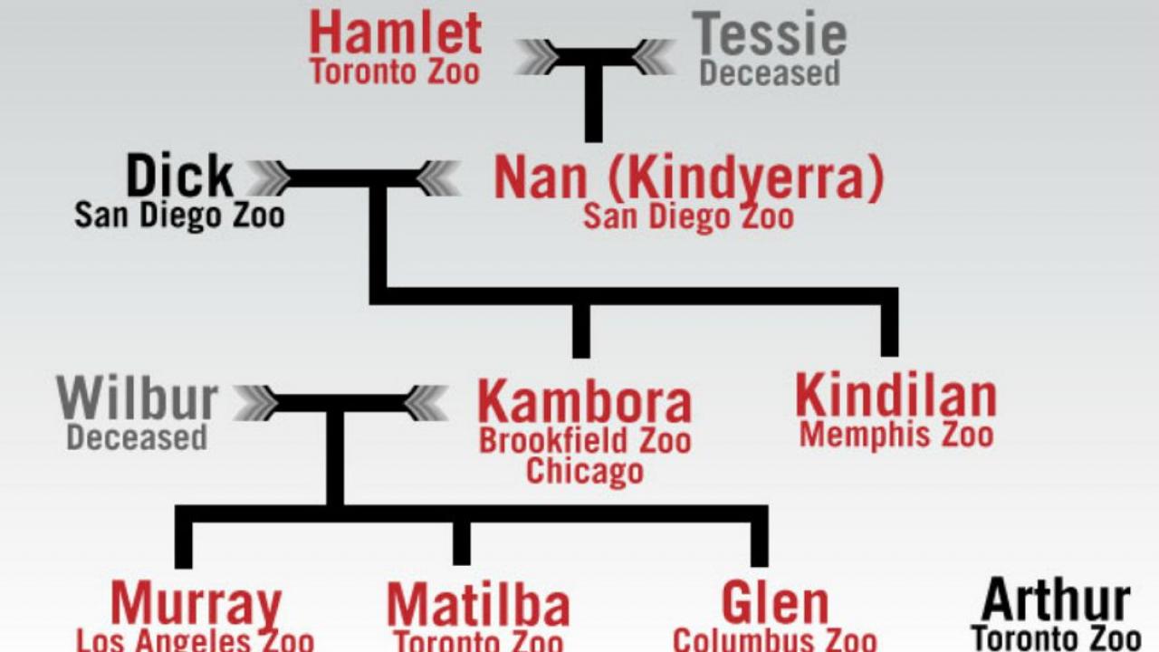 Friday Fun Fact: Ontario is home to the world’s oldest-living Southern ...