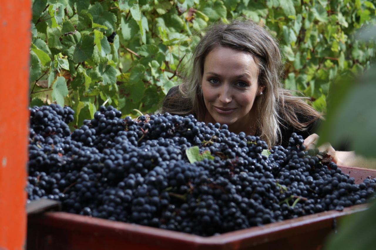 Food Unwrapped | TVO.org