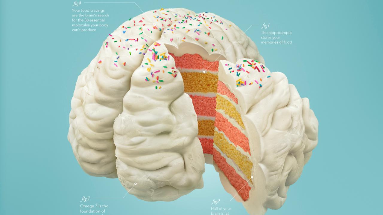 Food: Delicious Science | TVO.org