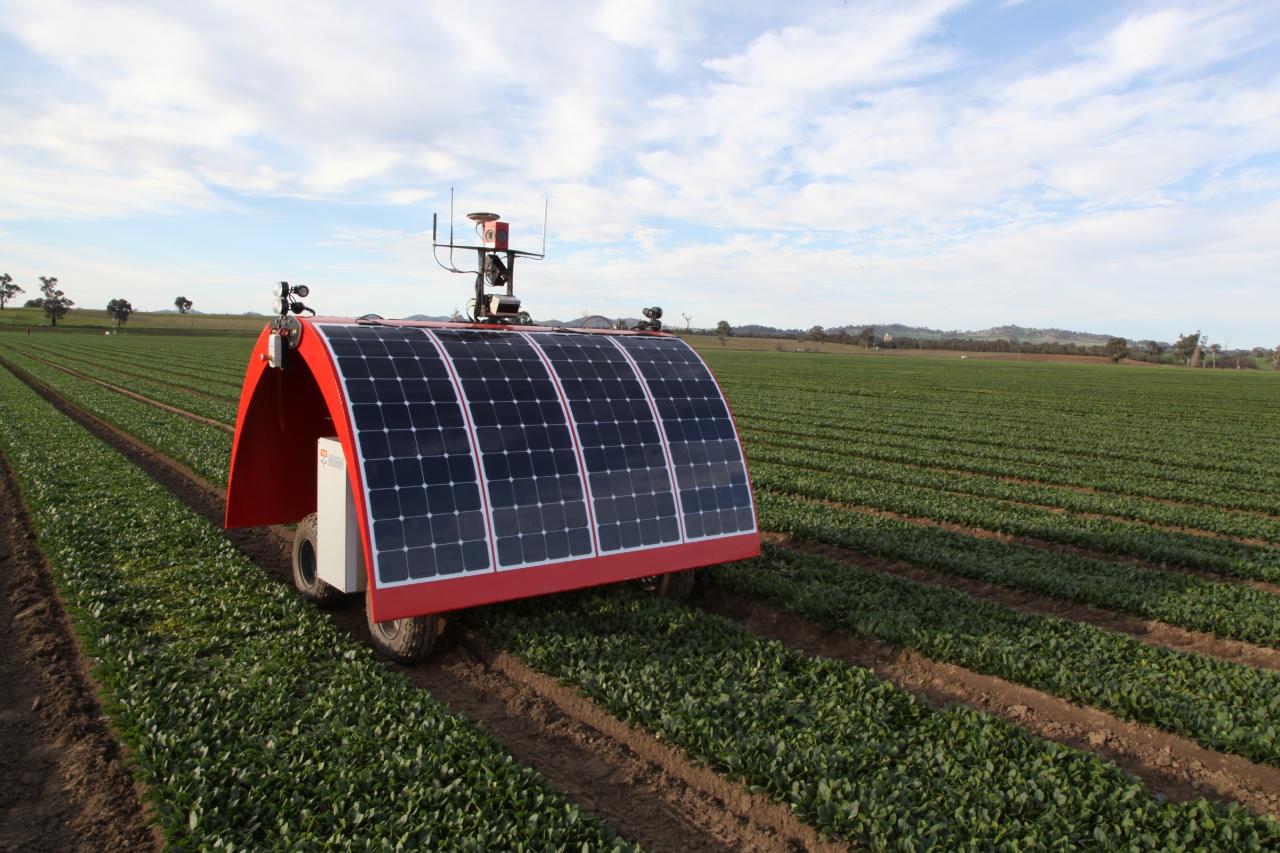 Tomorrow's Food | TVO.org